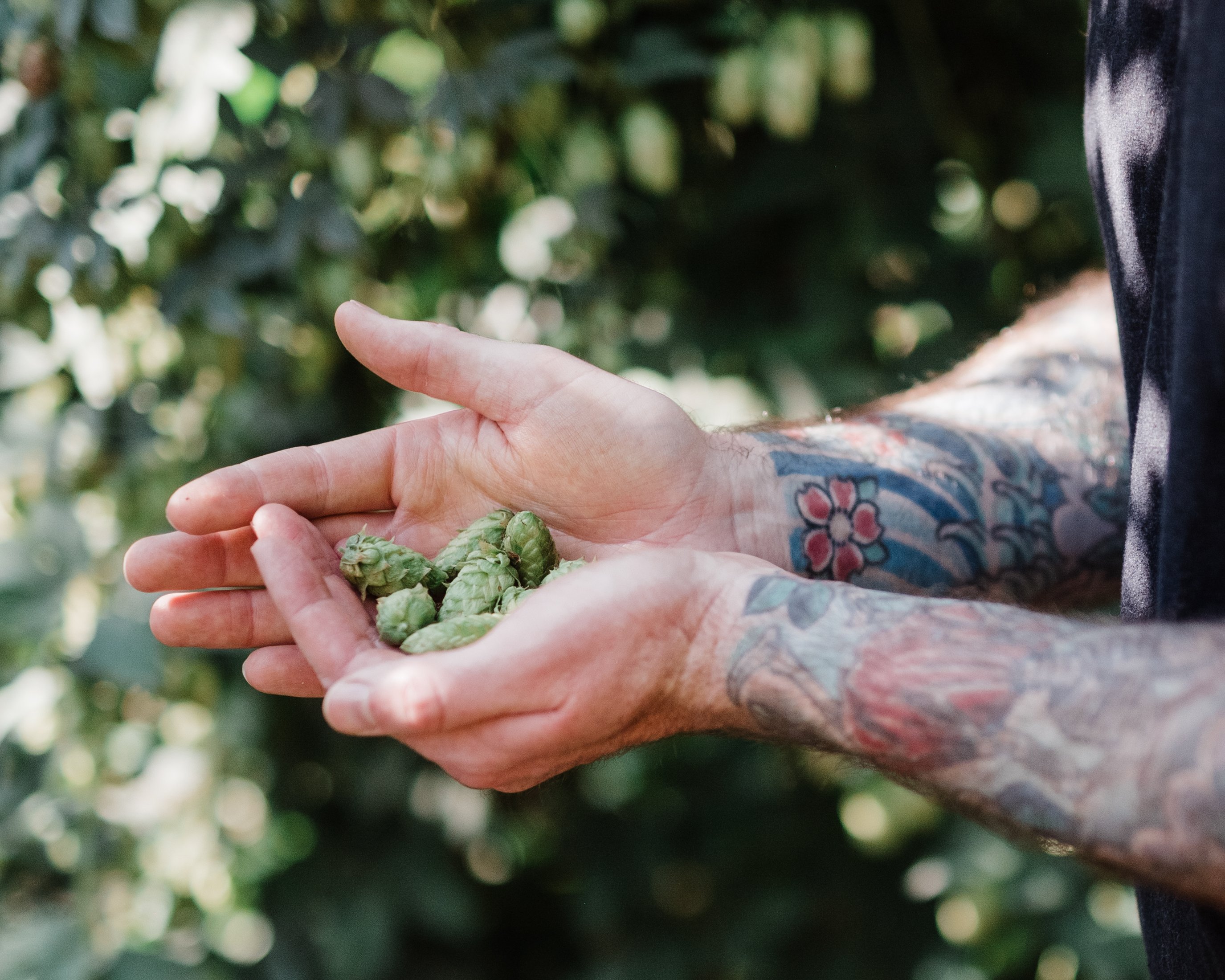 TopWire | Crosby Hops