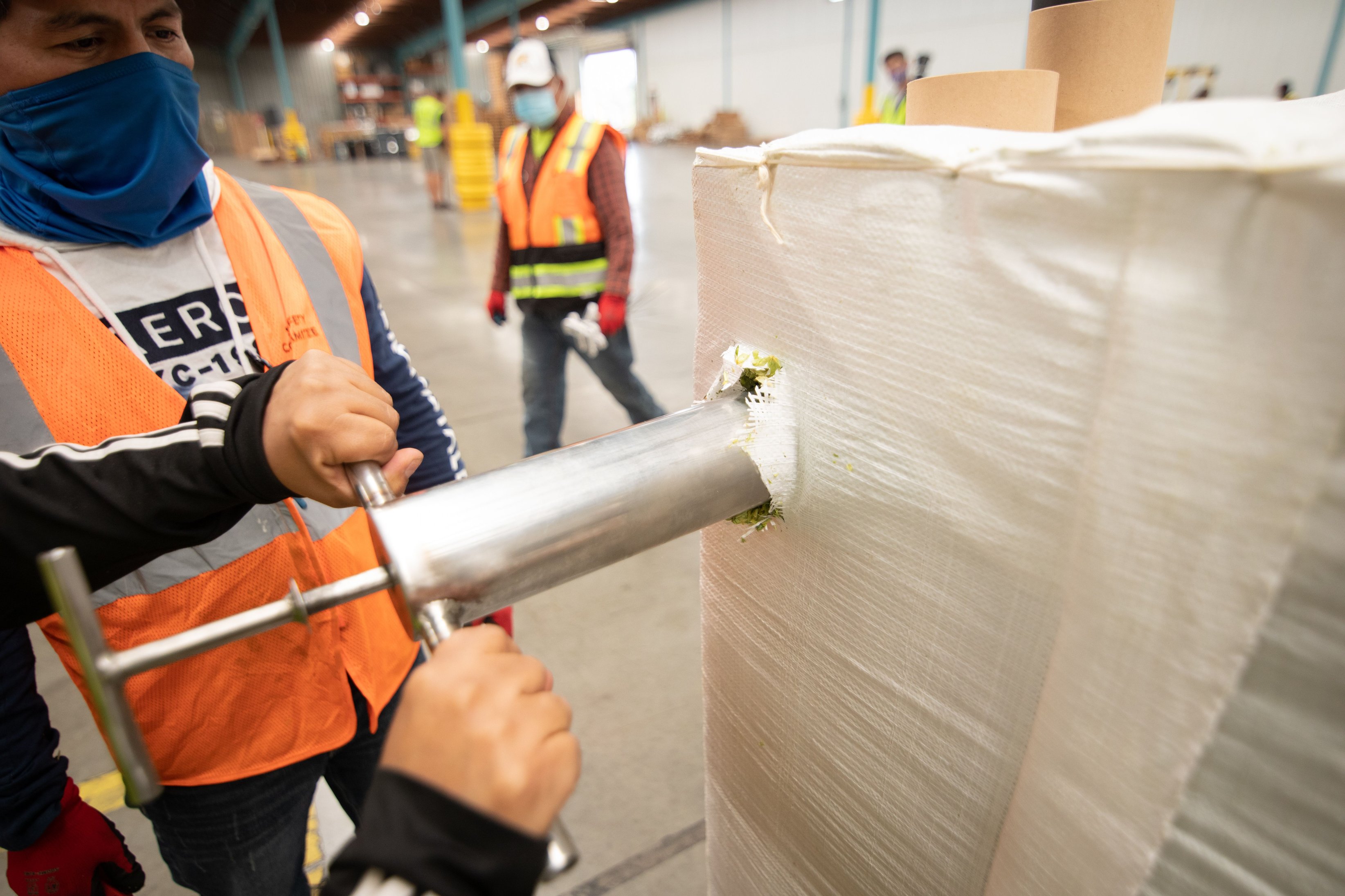 Pulling Back The Curtain On Hop Selection