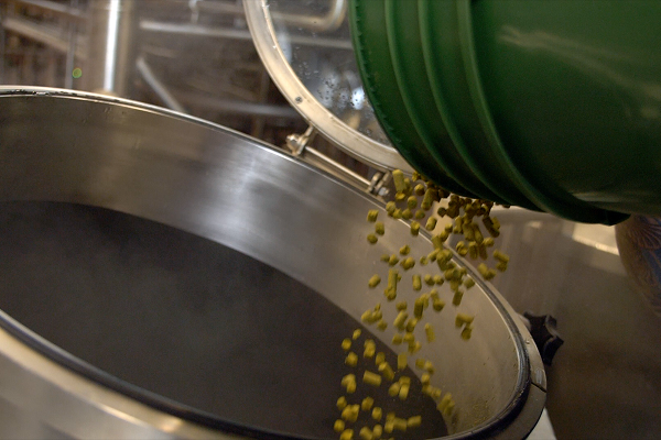 TopWire | Crosby Hops