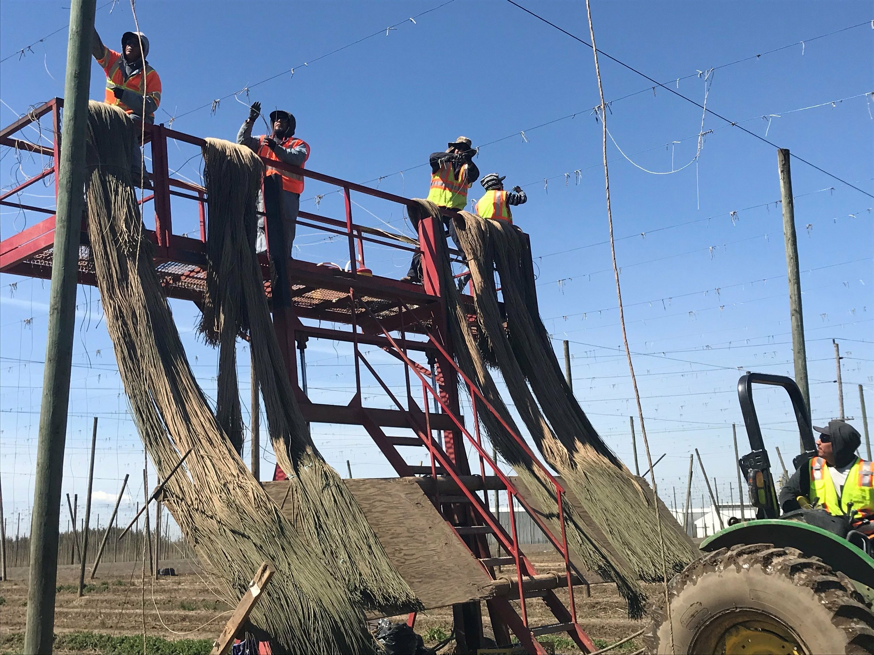 2019 Spring Update | Crosby Hops